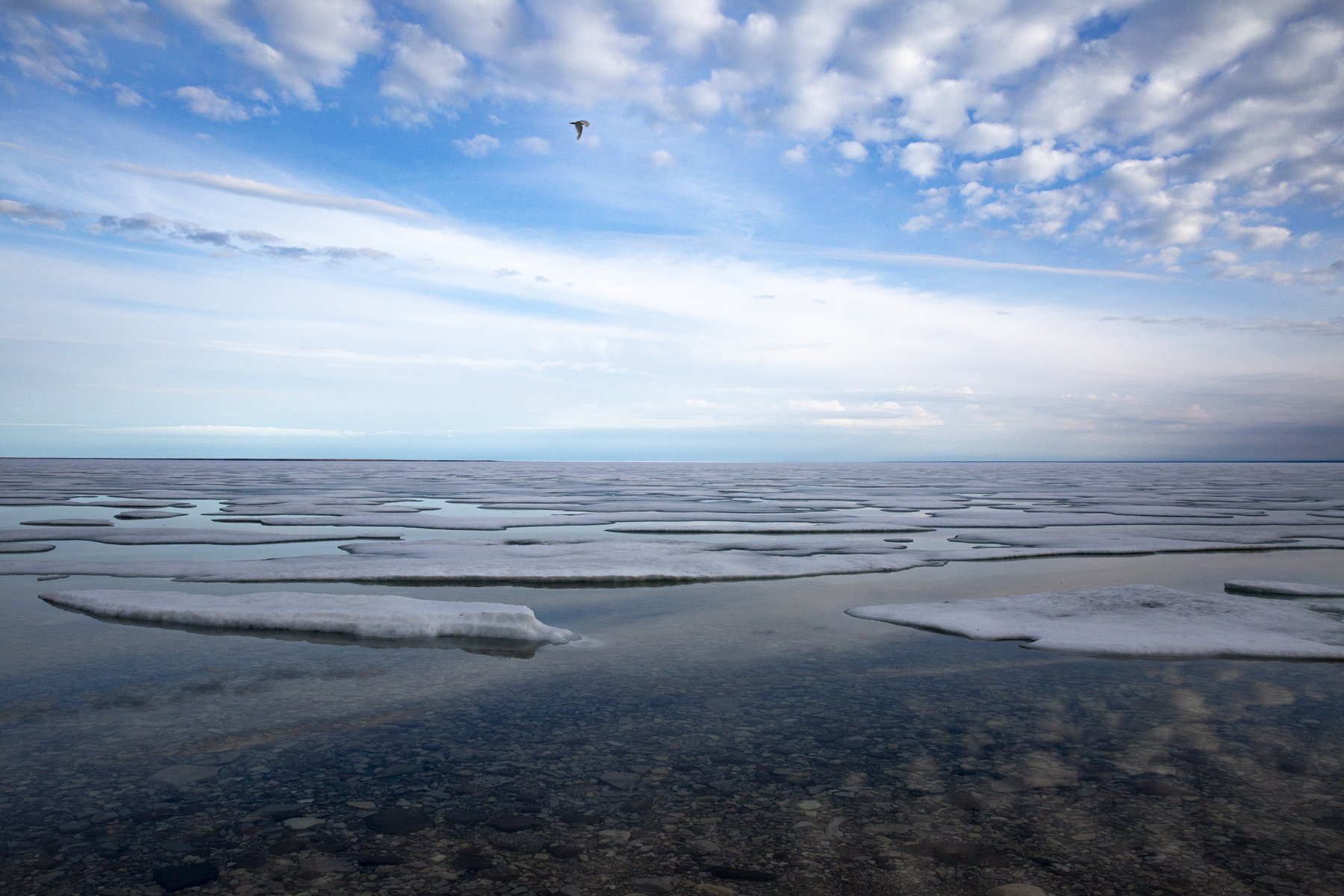 In Conversation with Dr. Jeremy Wilkinson | Arctic Focus