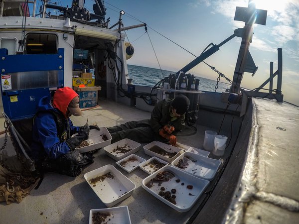 Discovering Ice Breaker Channel through the Kitikmeot Sea Science Study ...