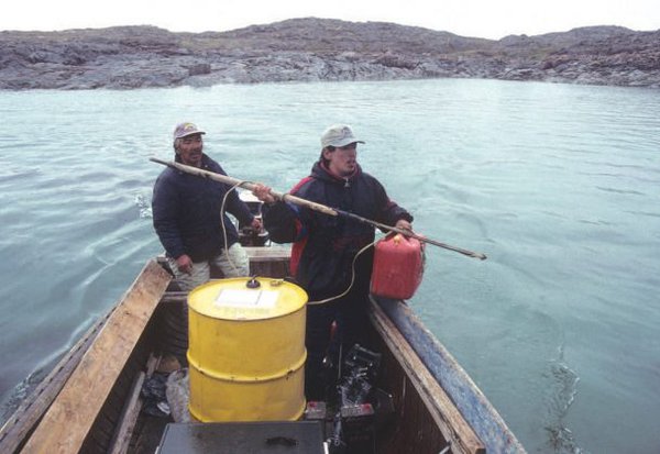 A Walrus Hunt | Arctic Focus