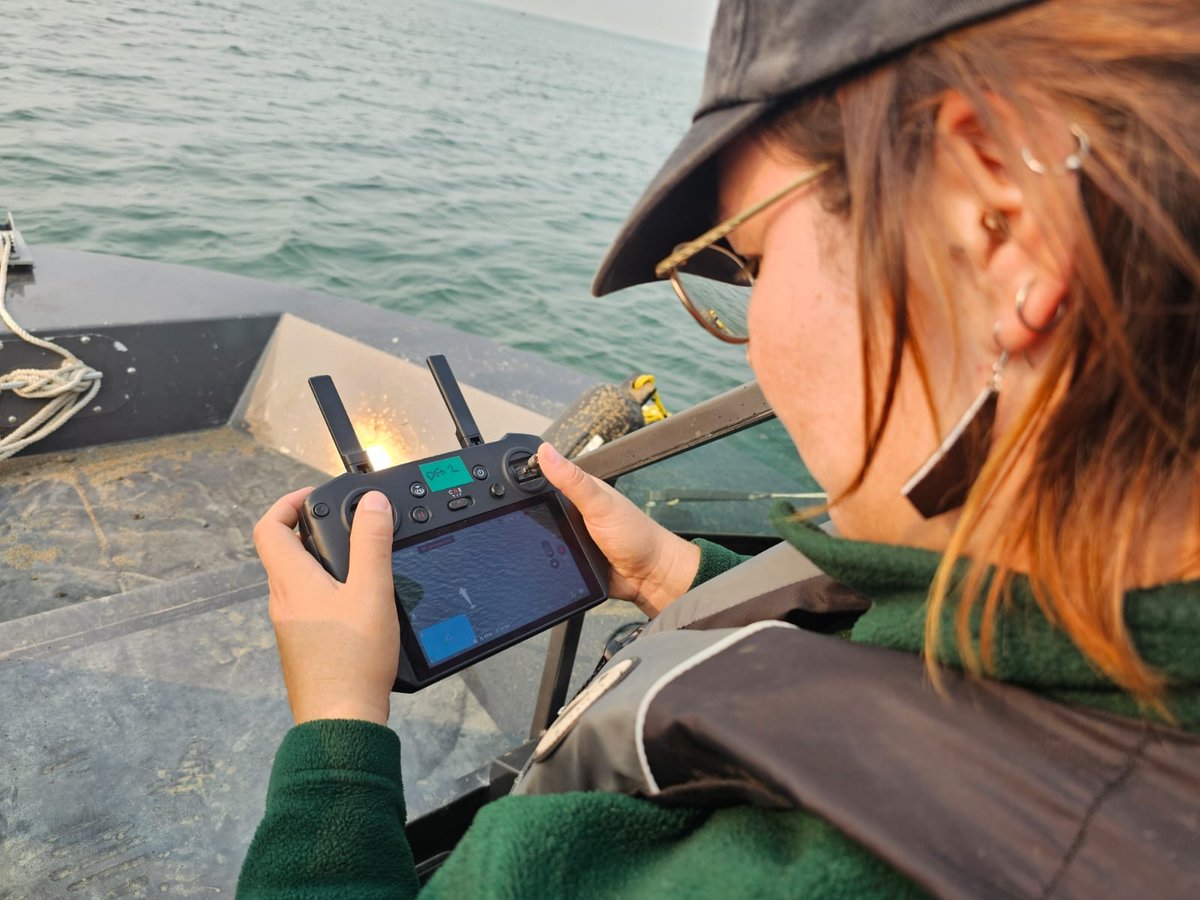 Emma Sutherland on Beluga Research and the Power of Collaborating with ...