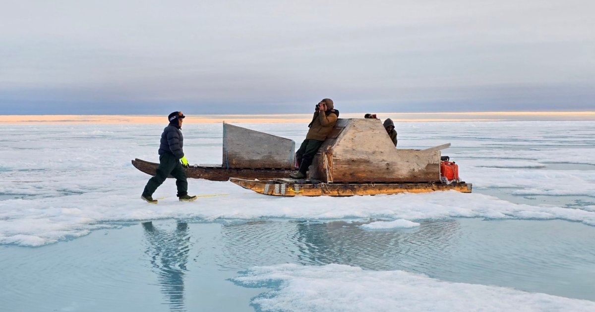 The Arctic Isn’t Just Melting, It’s Mourning: The Human Cost of a ...