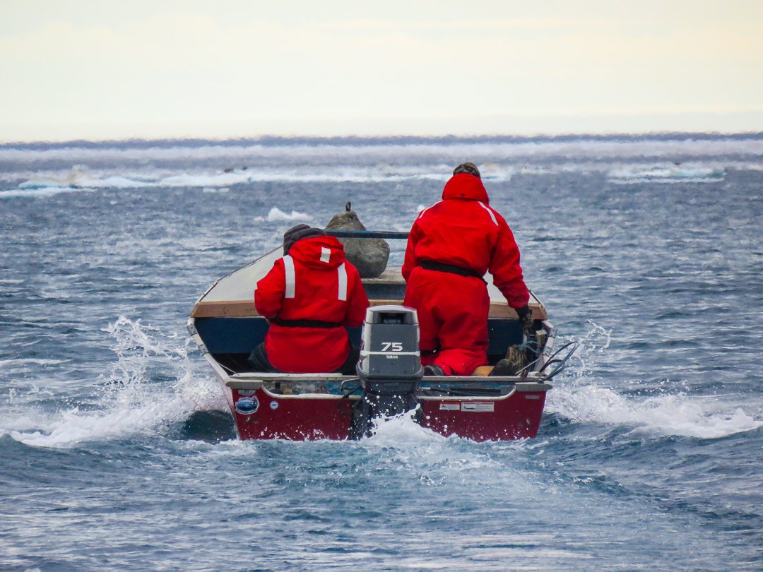 Community driven research tracking the movements of coastal fish in the ...