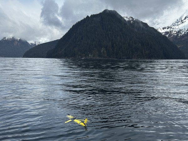 Shackleton: The Underwater Glider Advancing Crab Research in Alaska ...