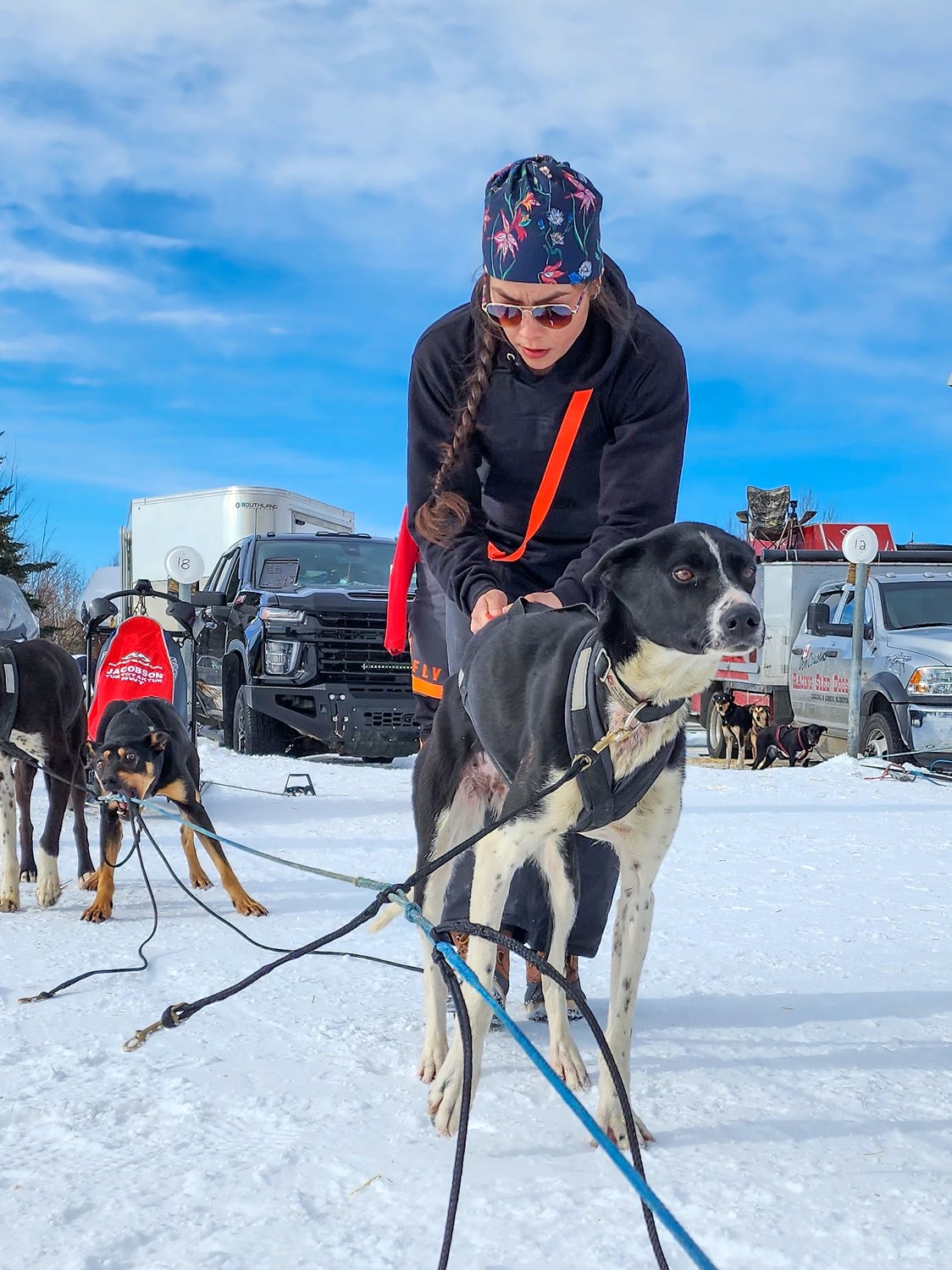 Meet the team! Jacobson Dog Racing Kennels | Arctic Focus
