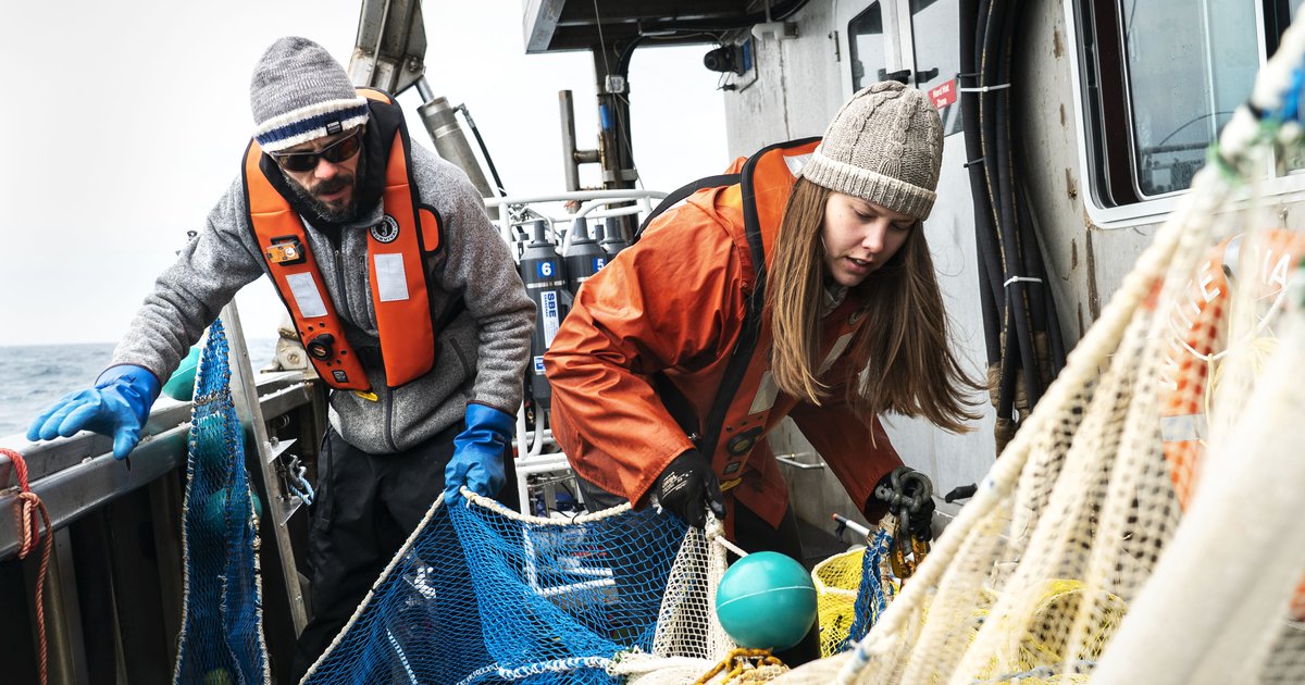 An Archaeologist's Experience at Sea | Arctic Focus