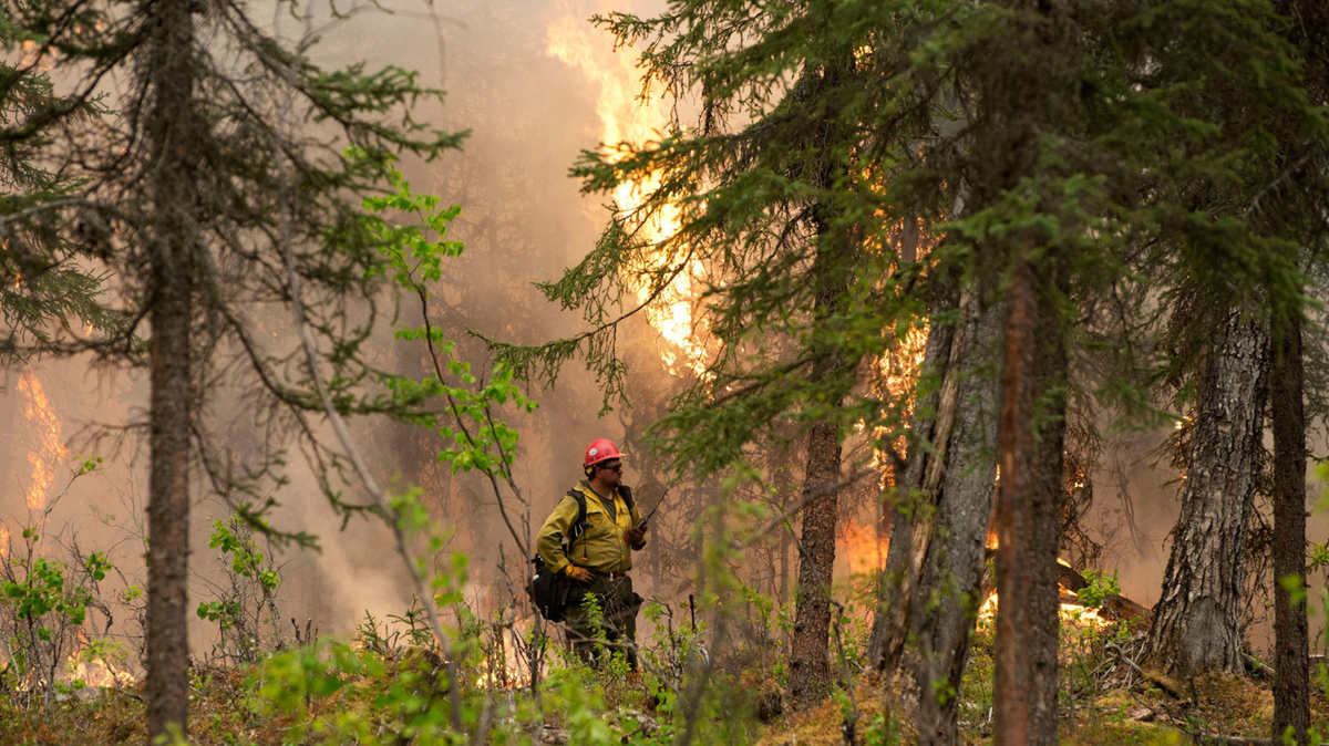 As Warming Alters Alaska, Can a Key Wildlife Refuge Adapt? | Arctic Focus