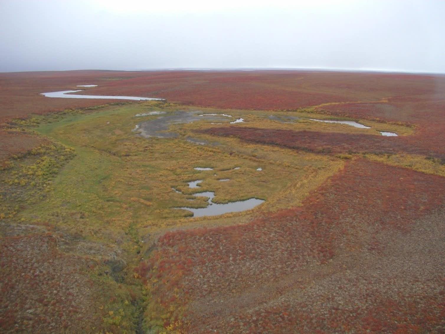 Collapsing permafrost is transforming Arctic lakes, ponds and streams ...