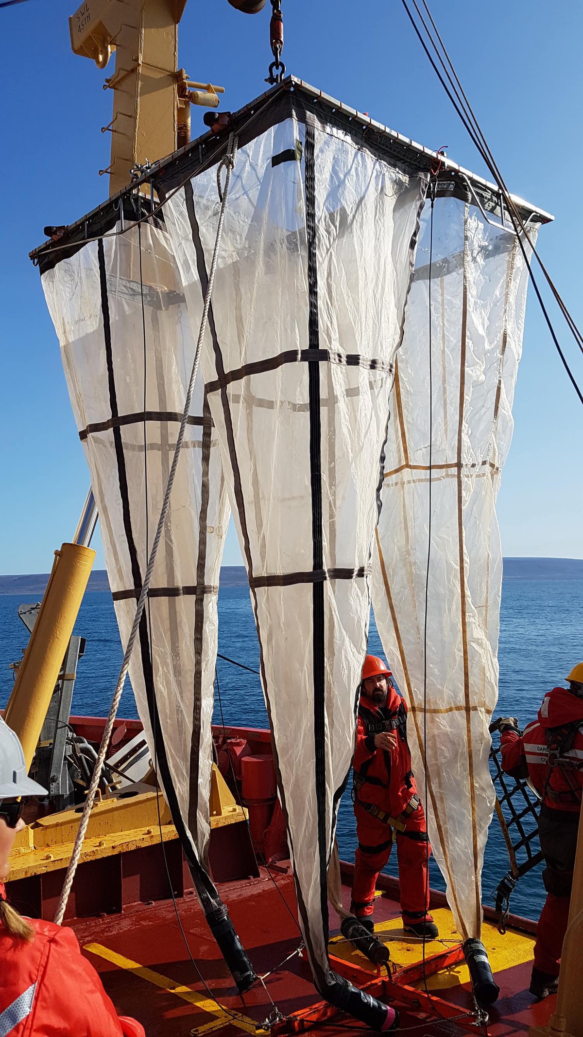 Huge sharks, tiny plankton: Exploring the changing Arctic from an ...