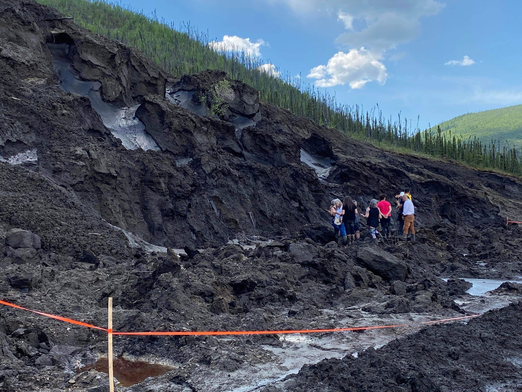 Miners Unearth Impeccably Preserved Baby Woolly Mammoth in Yukon ...