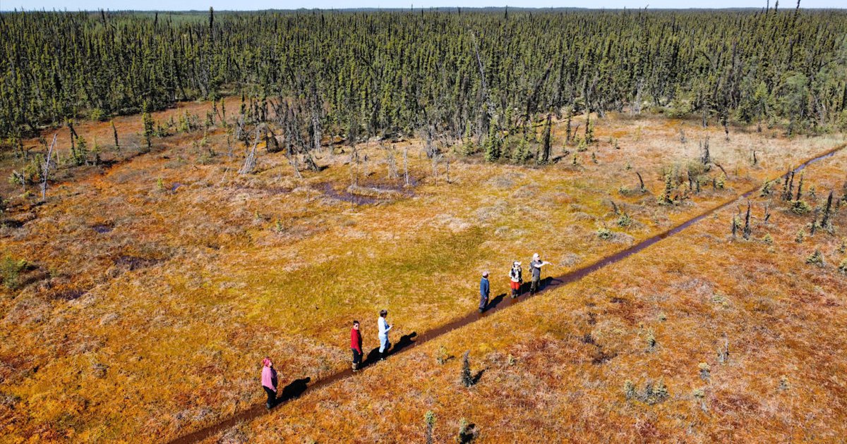 Native Guardians: Canada’s First Nations Move to Protect Their Lands ...