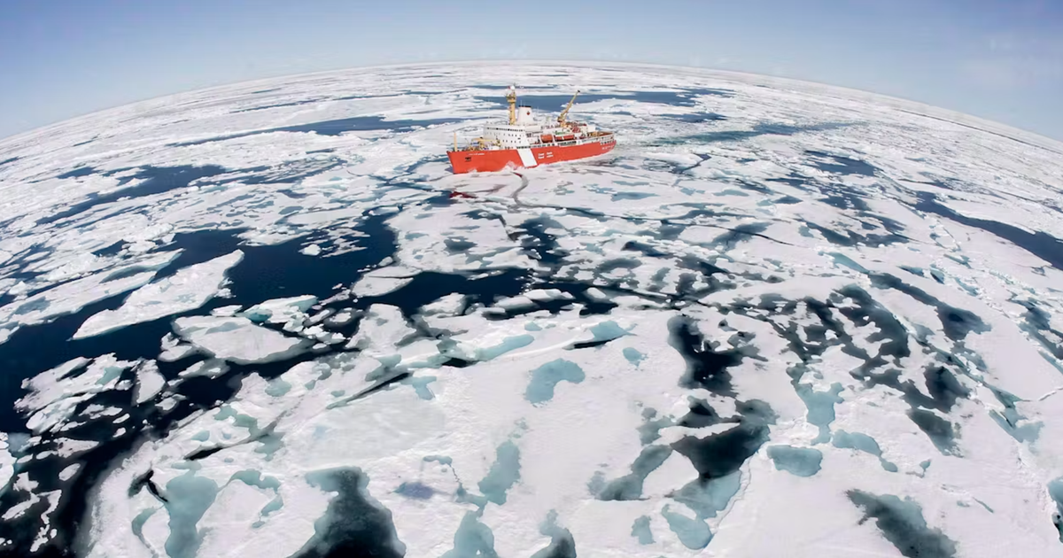 Chinese scientists are increasingly shaping the future of the Arctic ...