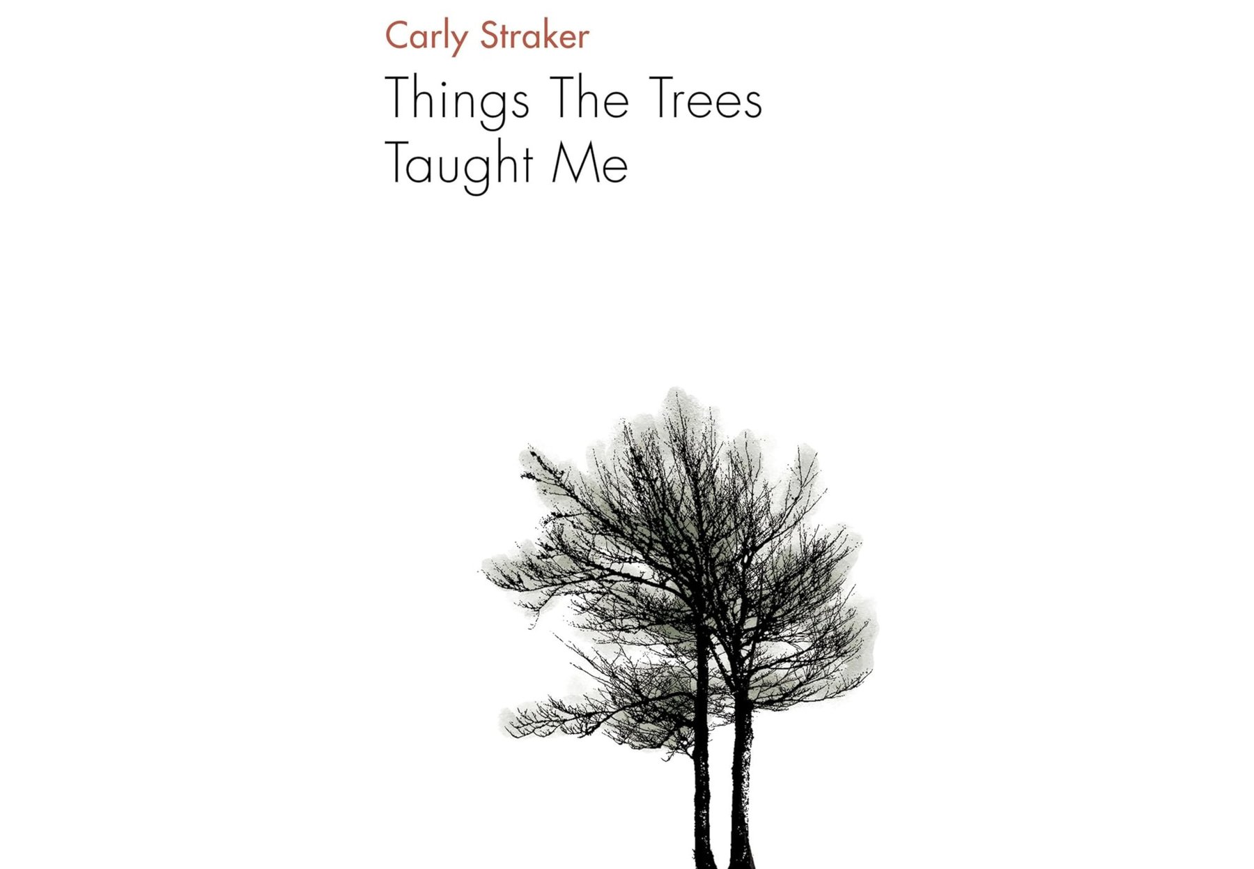 Northern Writer Carly Straker Turns Landscape, Loss, and Love Into ...