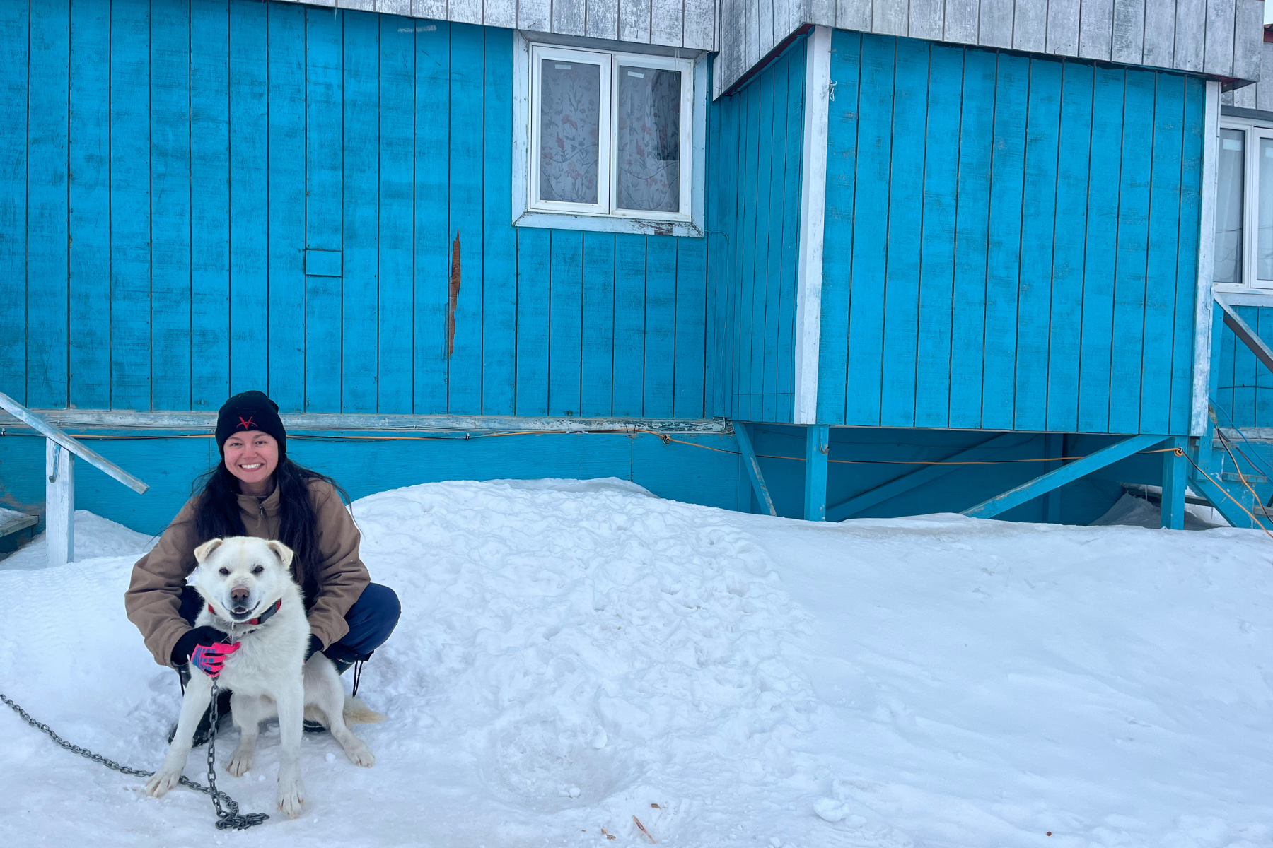 Increasing Veterinary Access in Remote Arctic Communities | Arctic Focus