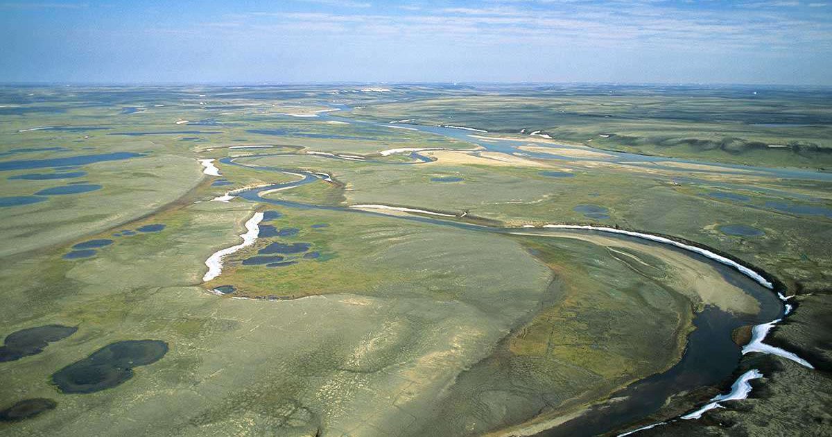 Thawing Permafrost is Triggering Landslides Across the Arctic | Arctic ...