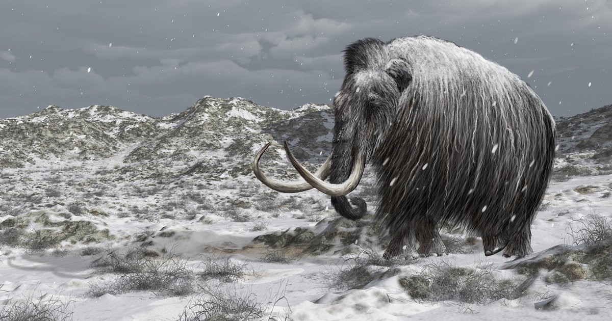 Could Resurrecting Mammoths Help Stop Arctic Emissions? | Arctic Focus