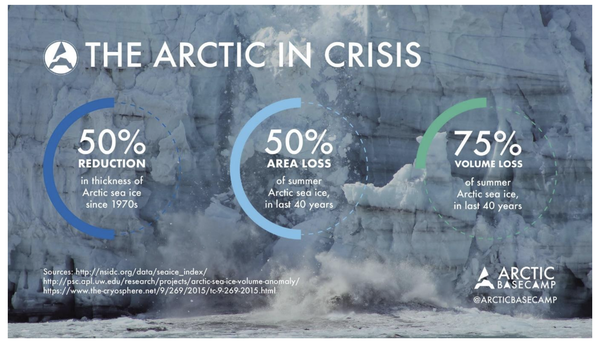 The Shrinking Arctic Ice Protects Us All. It’s Time to Act | Arctic Focus
