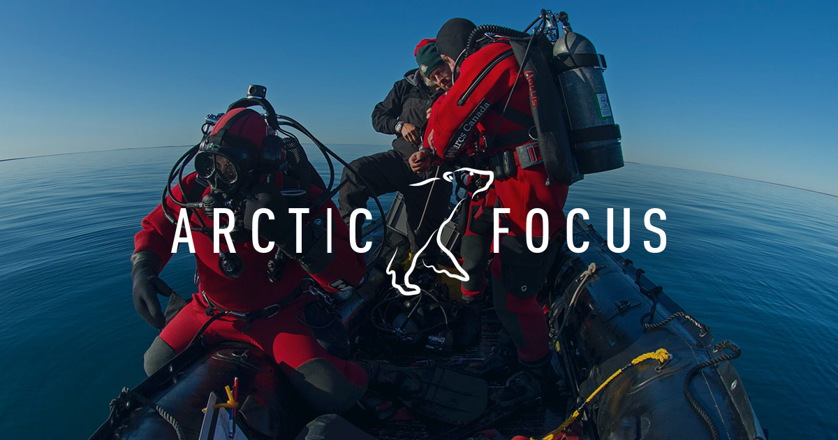 Arctic Research, Perspectives, and News | Arctic Focus